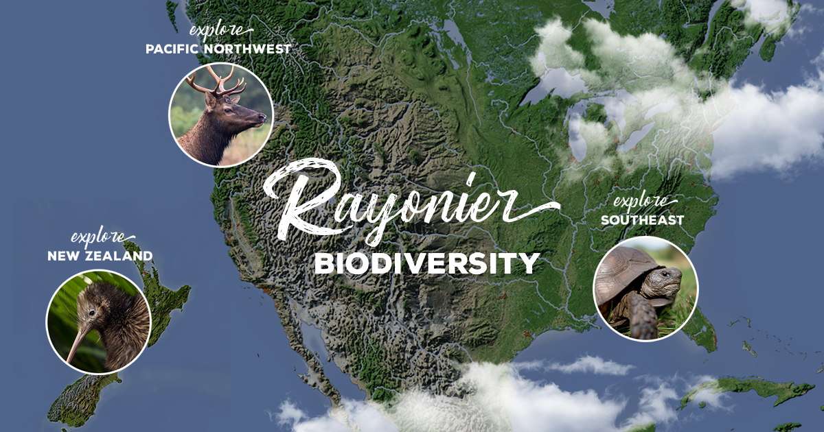 Rayonier Biodiversity